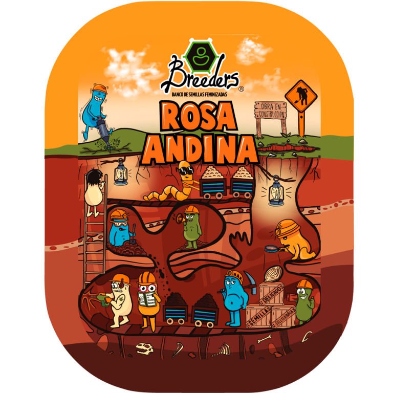 ROSA ANDINA | Breeders